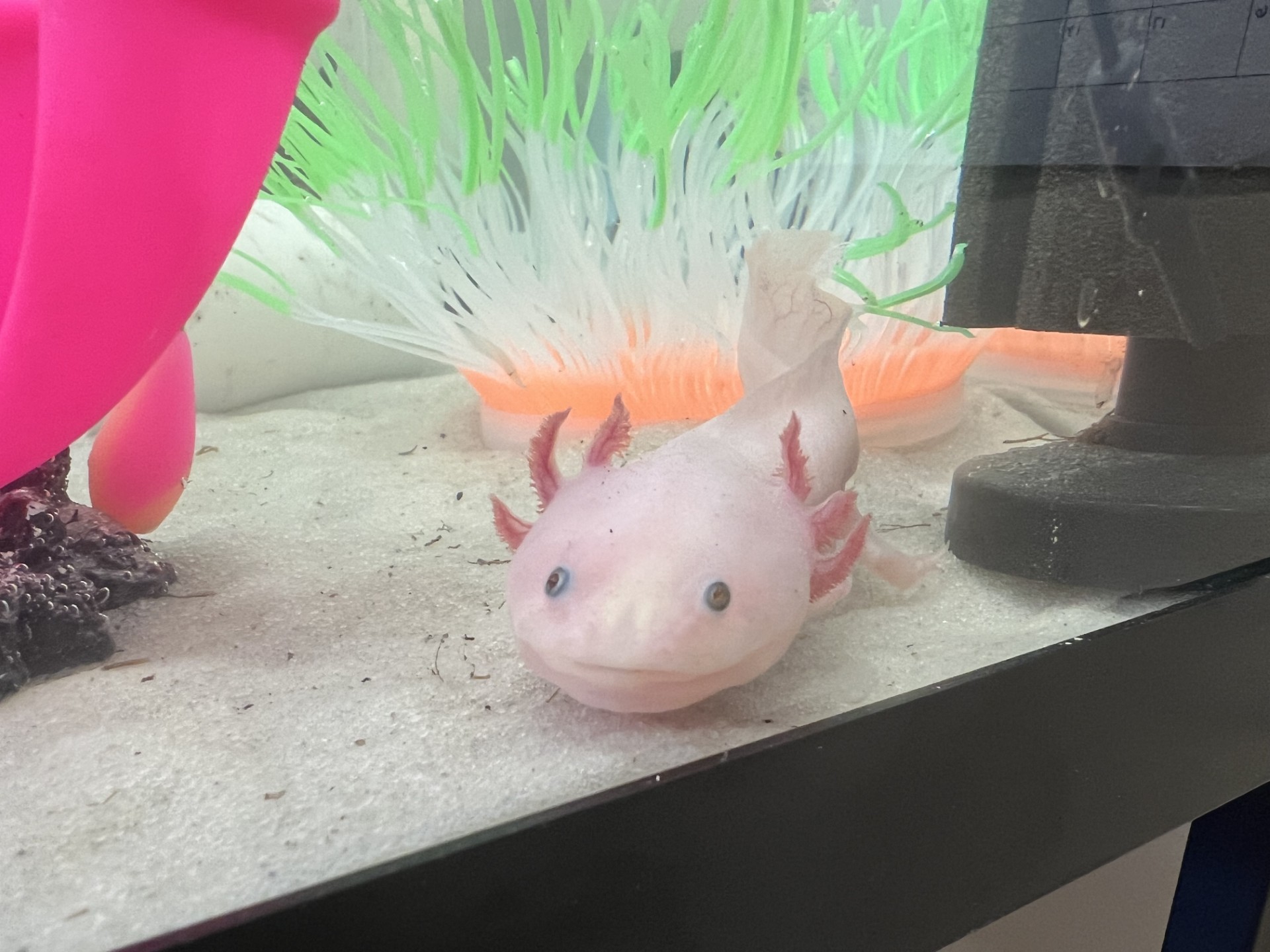 Homeschool Field Trips – STEM Experience Center